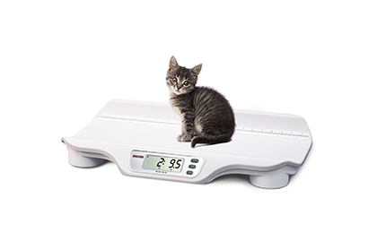 Rice Lake VS-10 Digital Scale - Industrial Scale Inc.